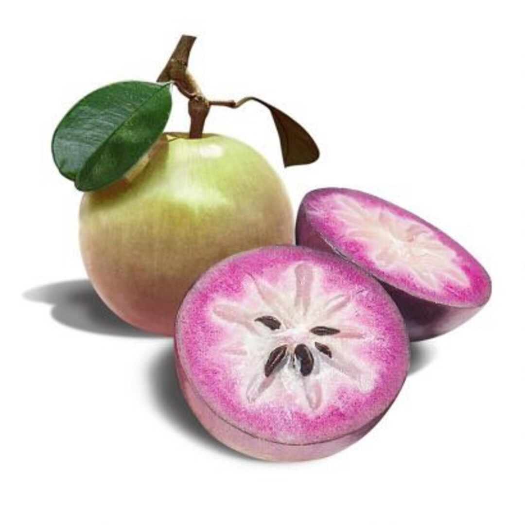 3LBS Fresh Star Apple Fruit. - Etsy