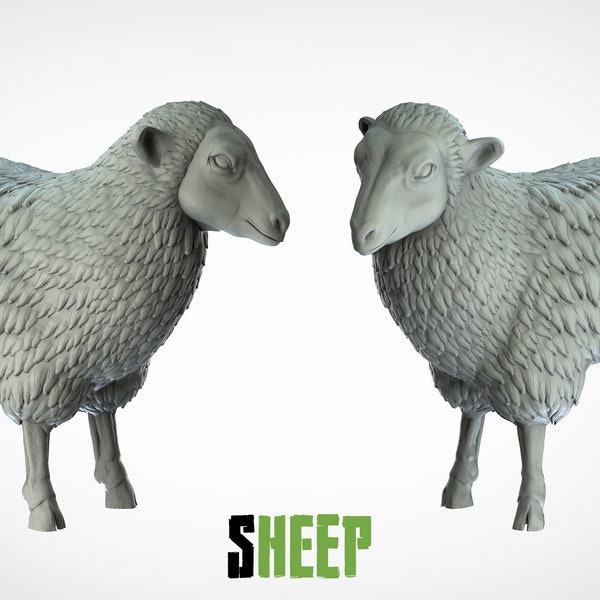 Miniature Sheep - Etsy