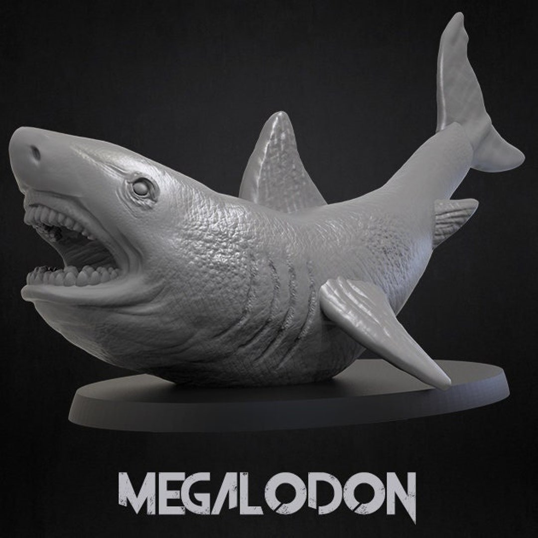 Megalodon / Dinosaurs / 3D Ipstudios / Miniatures / D&D - Etsy