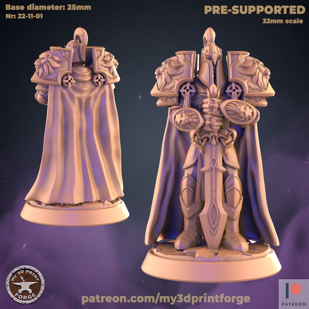 Guard Captain / Humans / My3dprintforge / Miniatures / D&D - Etsy