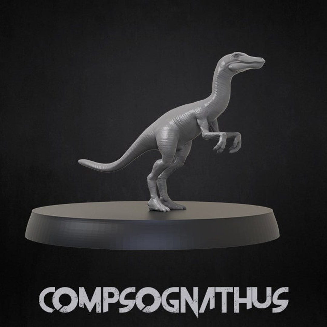 Compsognathus / Dinosaurs / 3D Ipstudios / Miniatures / D&D - Etsy