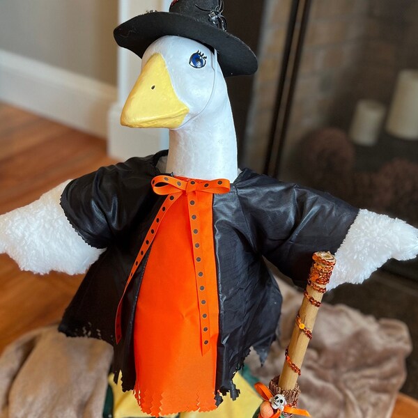 Goose Witch Costume - Etsy