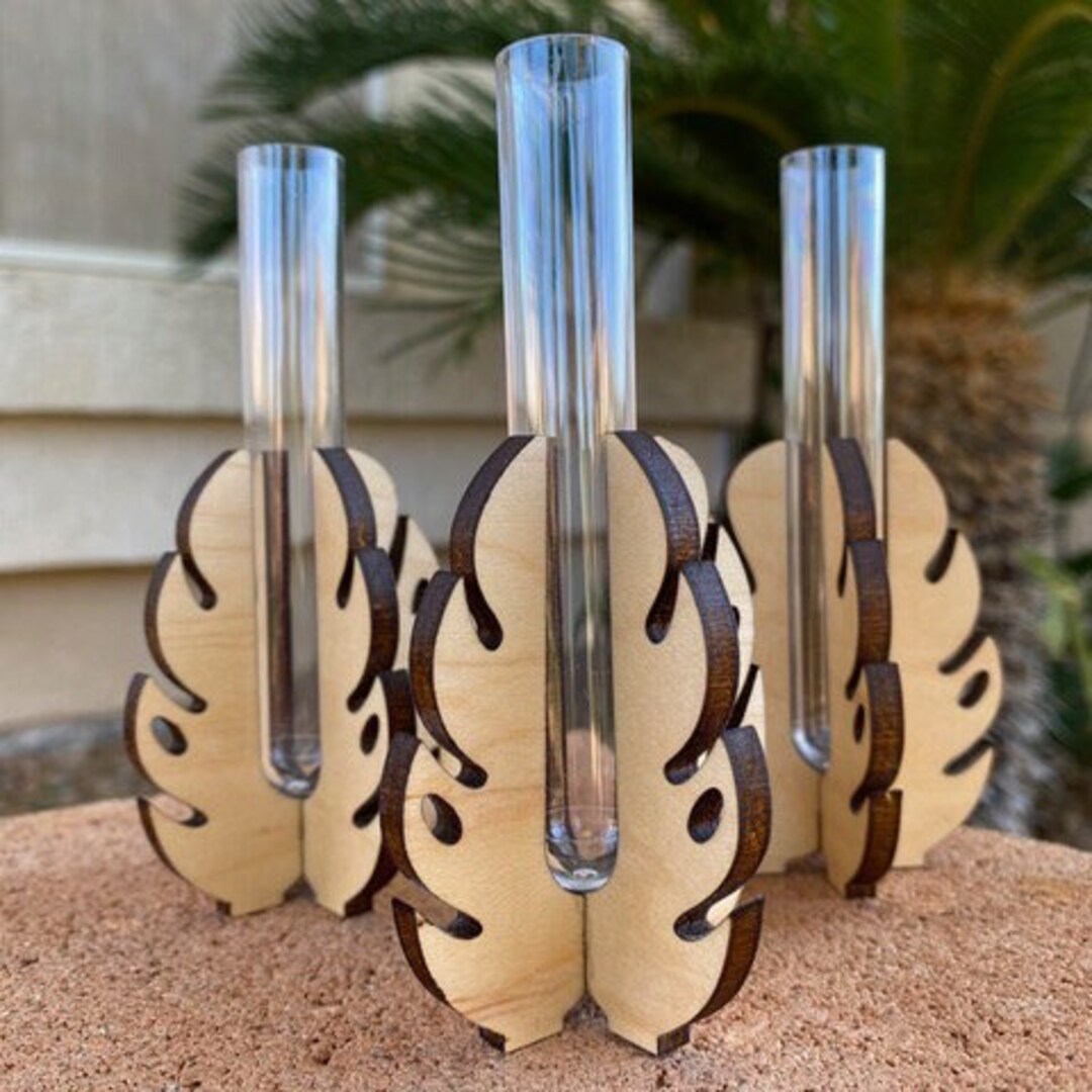 Monstera Propagation Bottle - Etsy