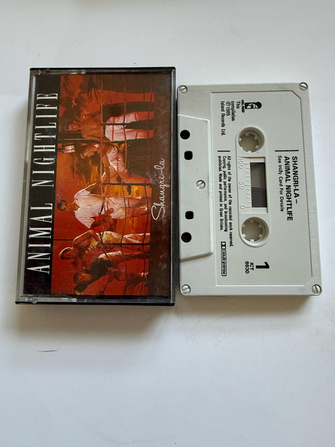 Animal Nightlife Shangri La Cassette Tape - Etsy