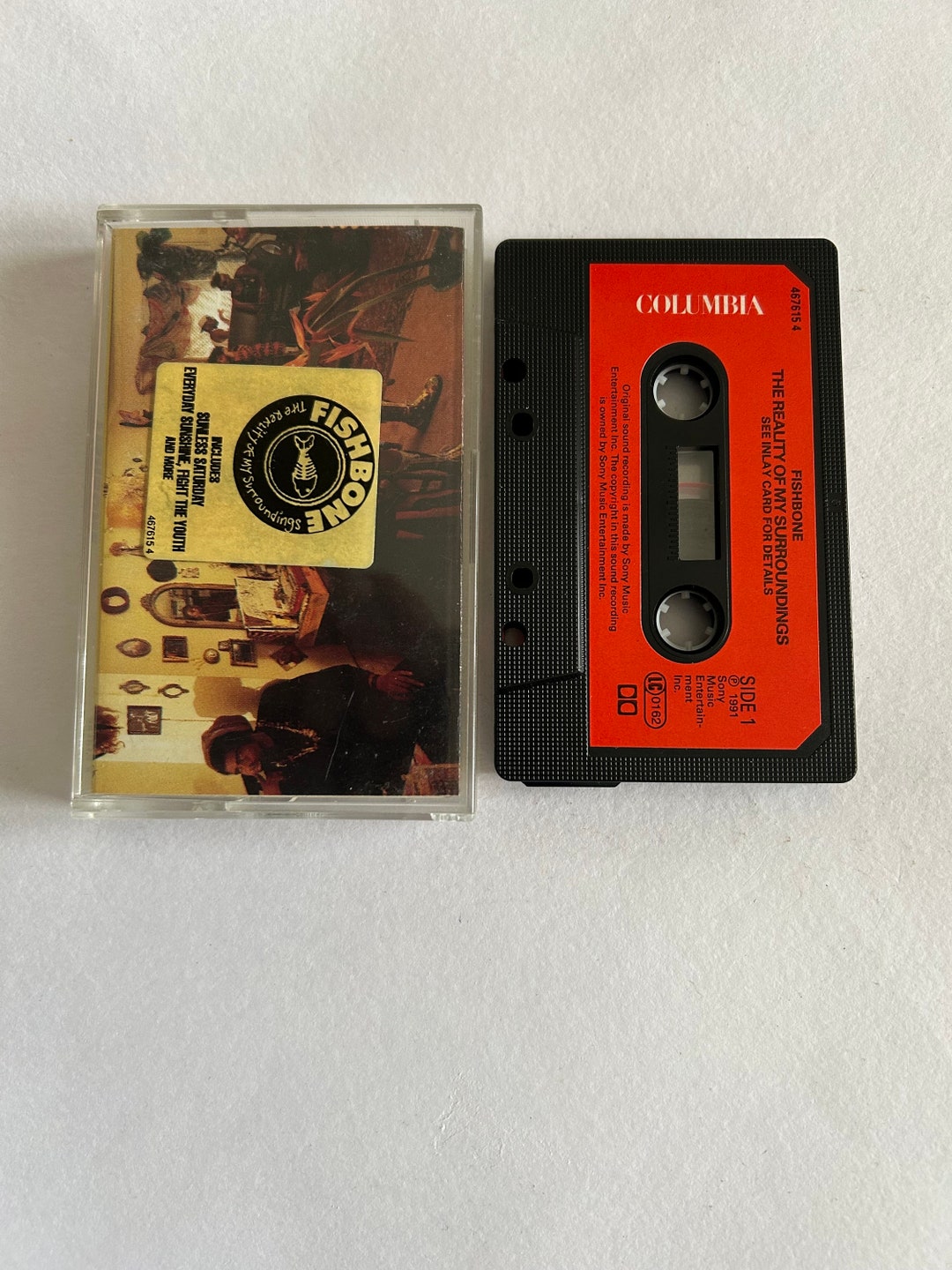 Fishbone the Reality of My Surroundings Cassette Tape - Etsy
