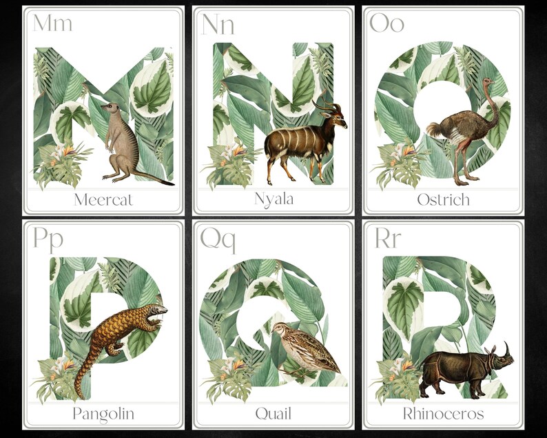 Vintage Animal Alphabet Poster and Alphabet Flashcards - Etsy