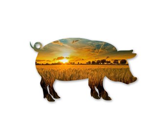 Pig Wall Plaque - Etsy