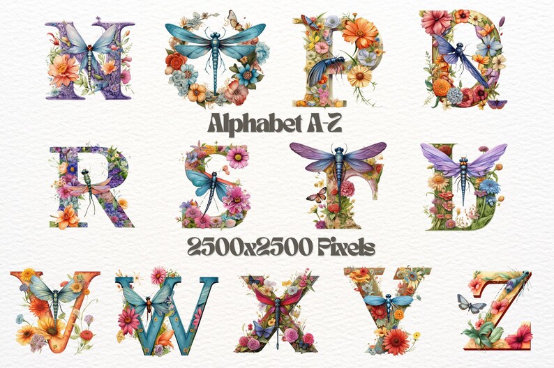 Letter Dragonfly Flowers Alphabet Clipart Alphabet PNG - Etsy