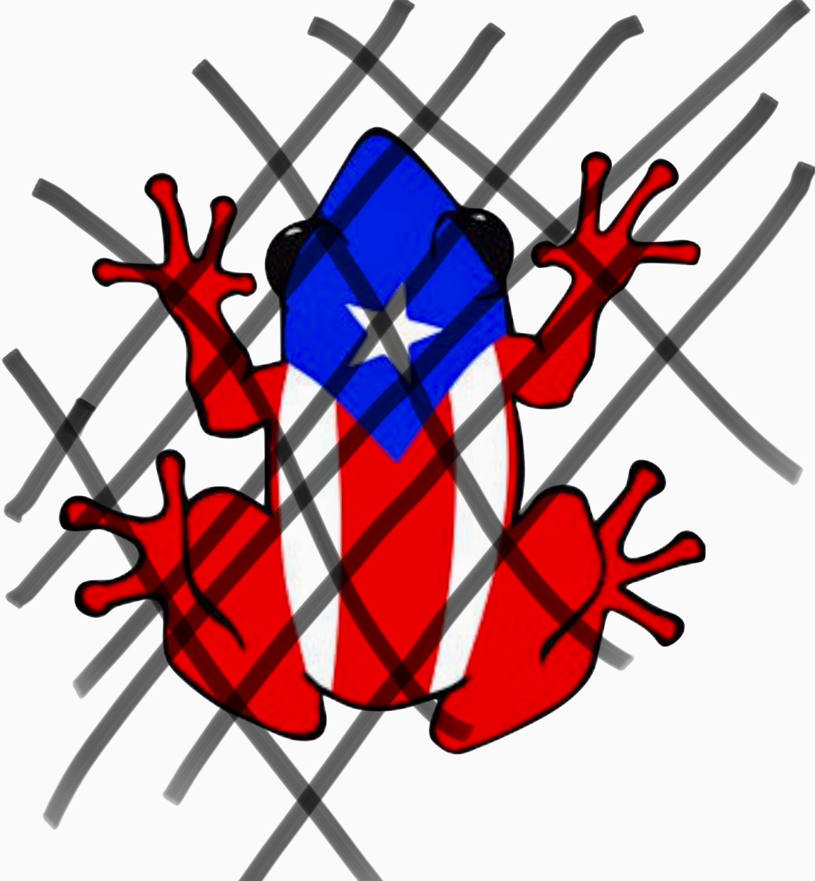 Coqui With Puerto Rican Flag PNG,SVG,JPEF Zip File. - Etsy