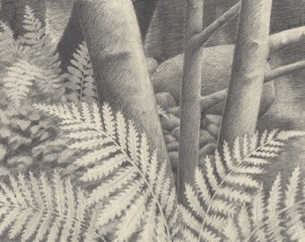 Graphite Drawing - Etsy