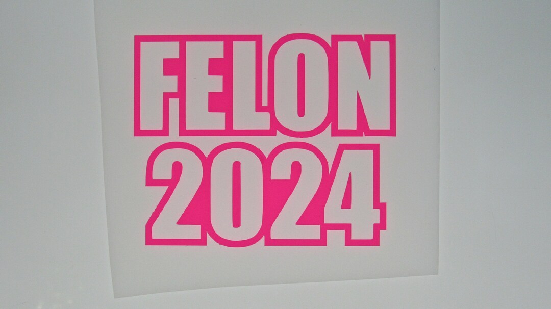 Felon 2024 Decal, Permanent Vinyl, Window Decal, Car Decal - Etsy