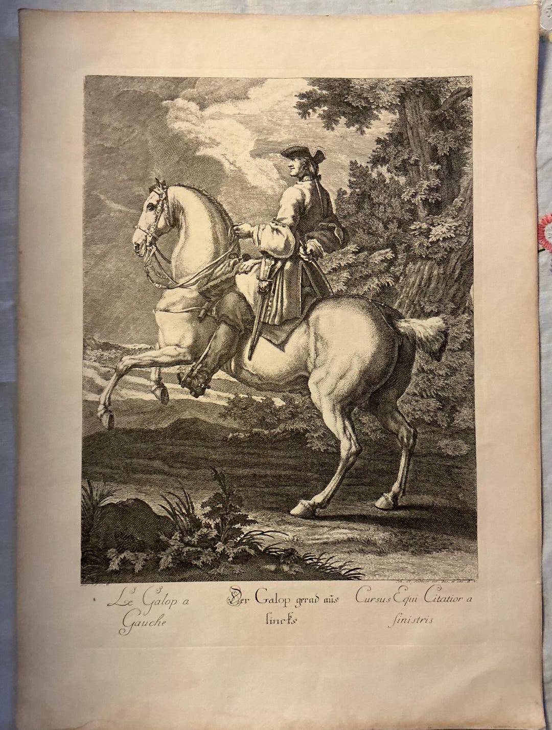 Vintage Lithograph Copper Plate Engraving by Johann Elias Ridinger(1698 ...