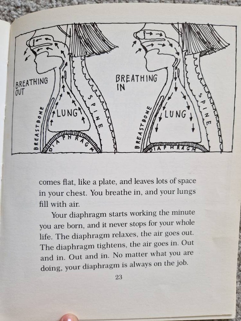 Body Noises Where They Come From and Why They Happen. - Etsy