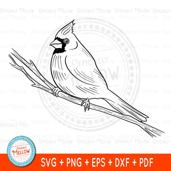 Cardinal on a Branch - Etsy