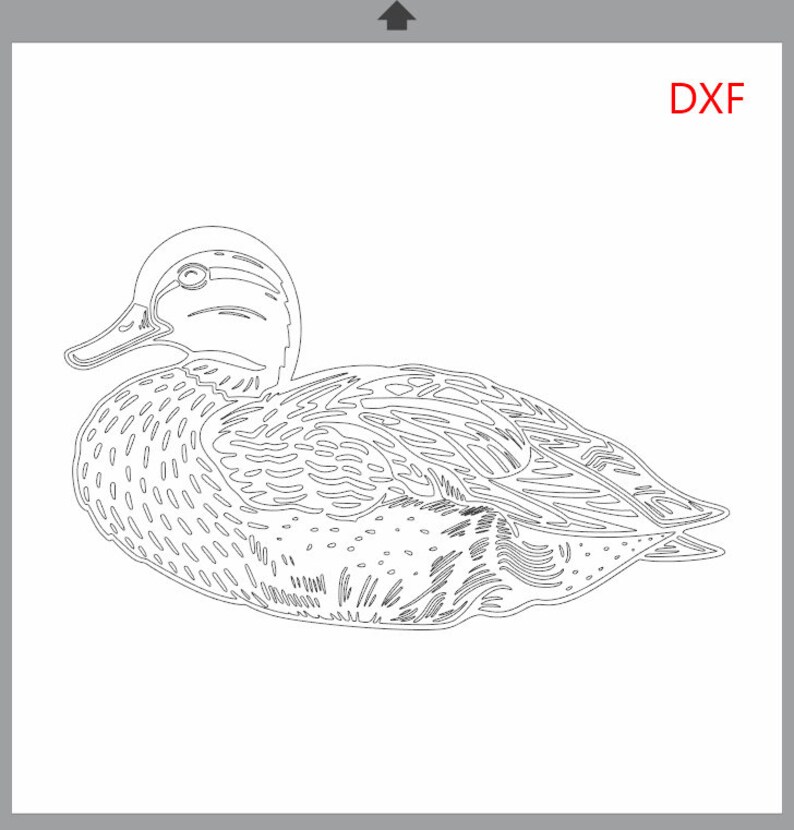 Mallard Duck SVG, Duck SVG, Mallard Duck Vector, Duck Lover Gift, Duck ...