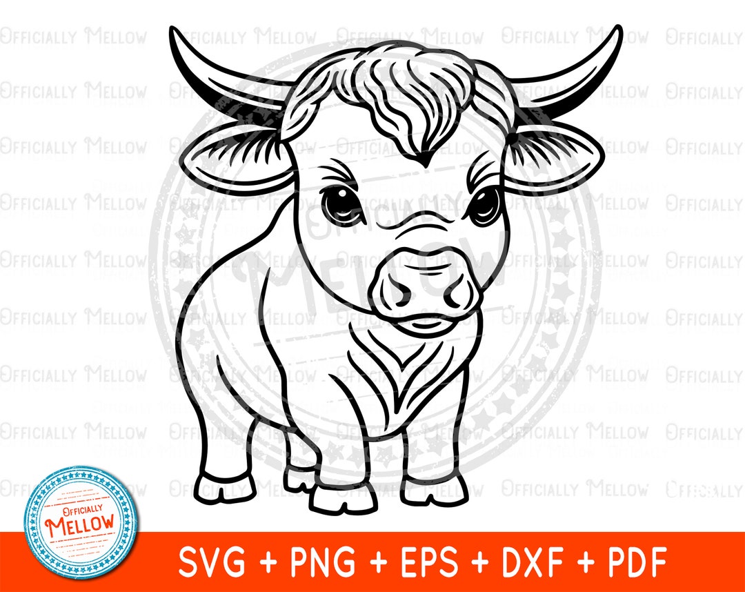 Baby Bull SVG Bull SVG Cute Cow SVG Kids Rodeo Svg Baby - Etsy