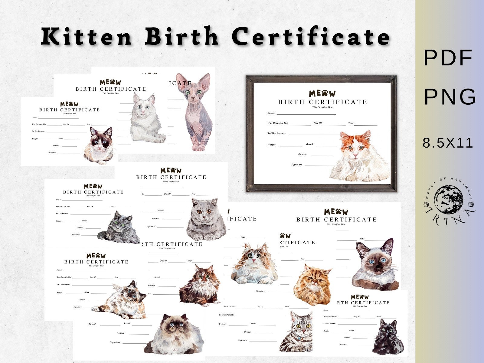 Kitten Birth Certificate Printable Cat Birth Pet Certificate,dog Owner ...