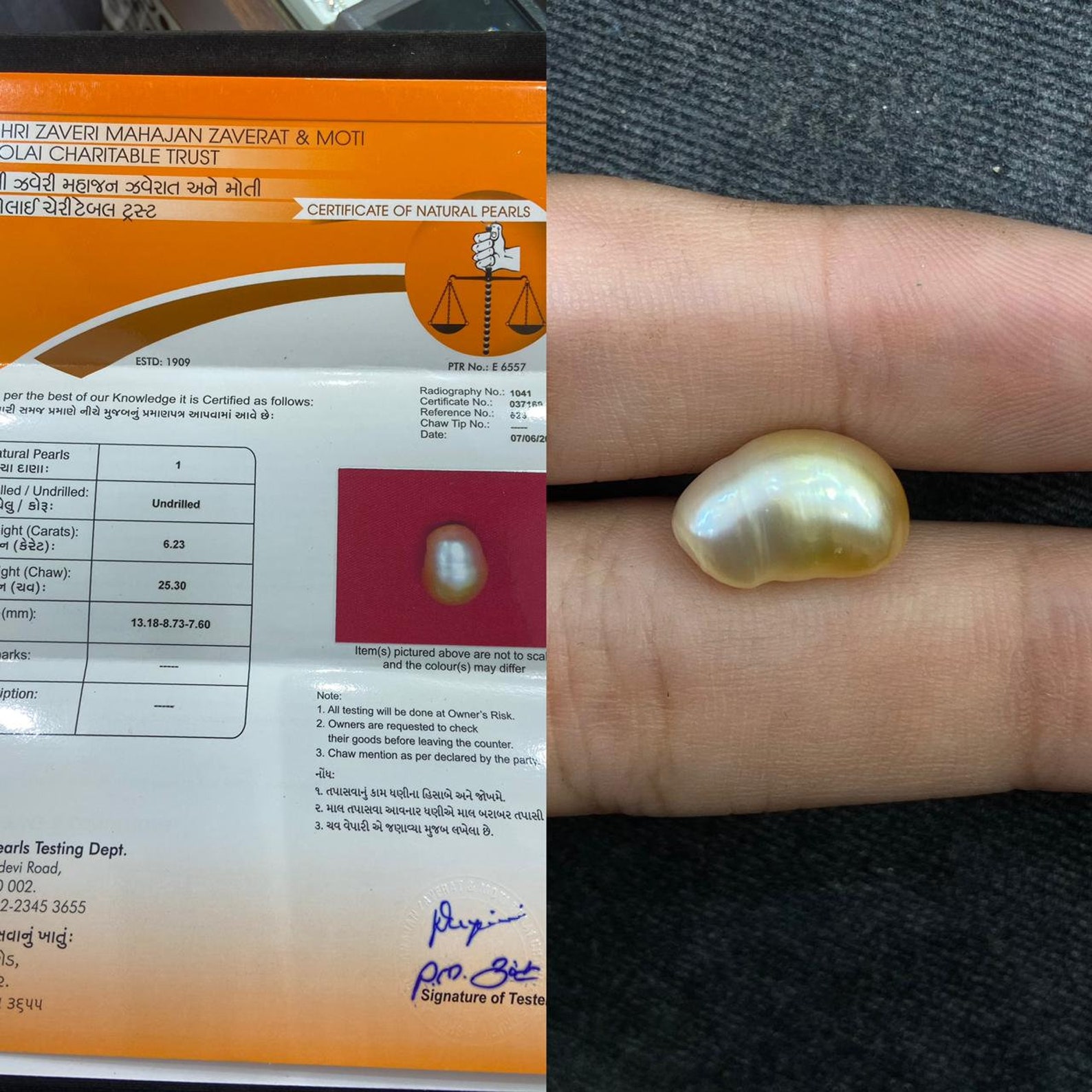 Genuine Freedom Shape Golden Baroque Pearl AAA Quality Venezuela Pearls ...