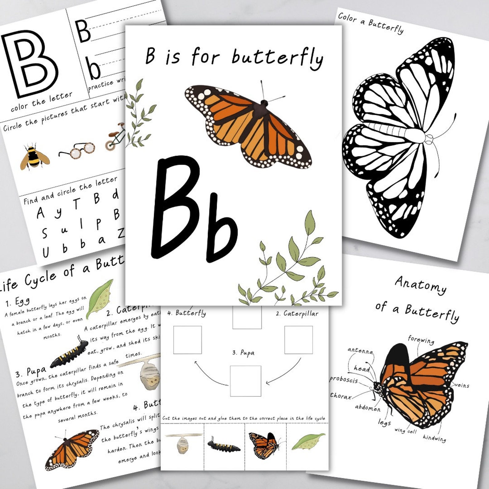 Homeschool Printables | Homeschool Curriculum | Preschool Worksheets ...