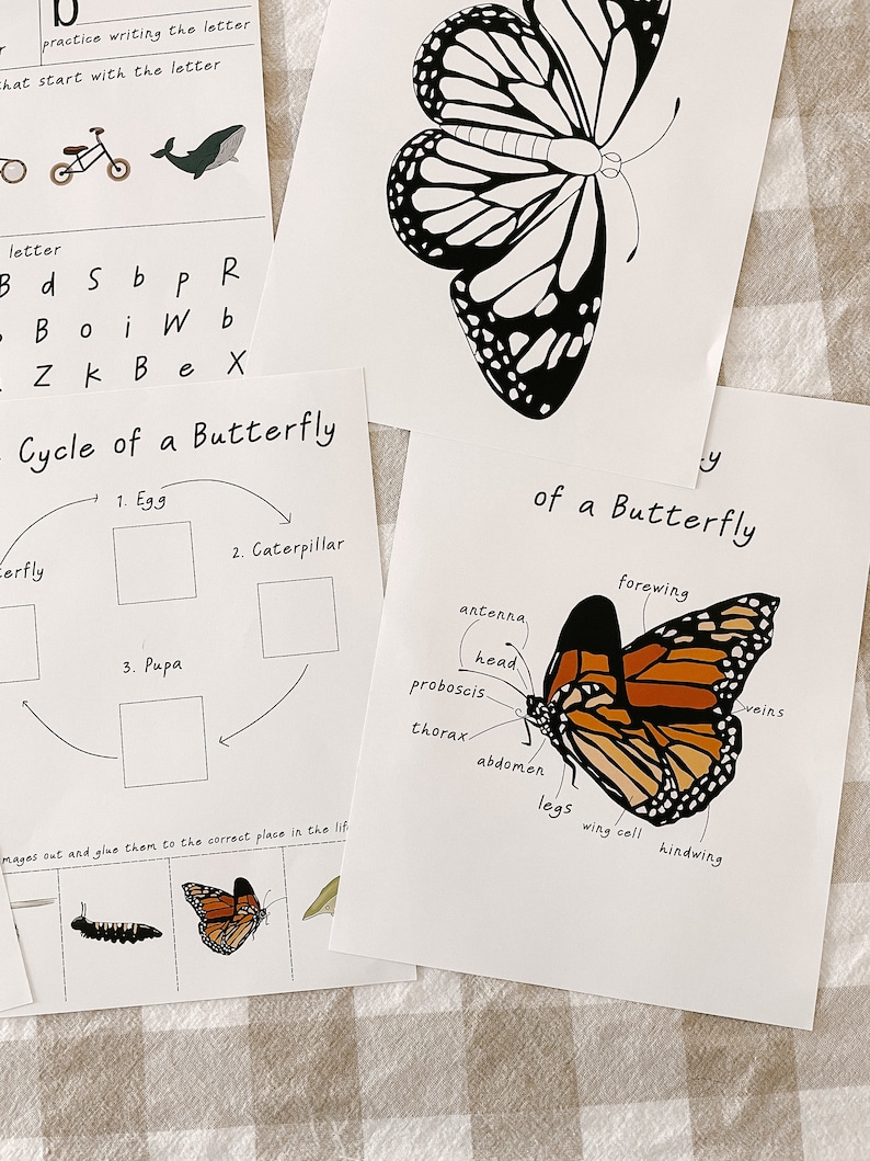 Homeschool Printables | Homeschool Curriculum | Preschool Worksheets ...