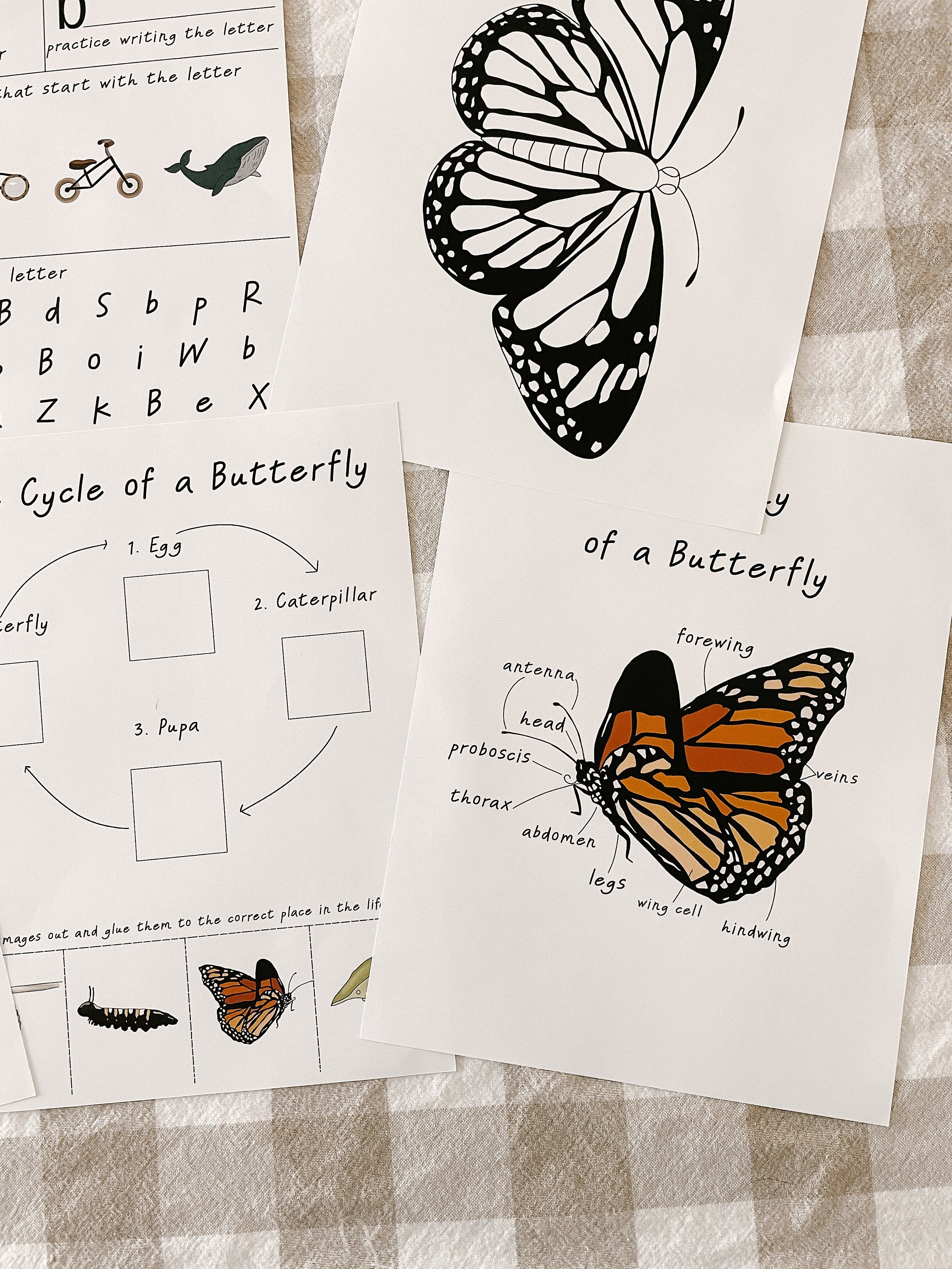 Homeschool Printables Homeschool Curriculum Preschool Worksheets B is ...