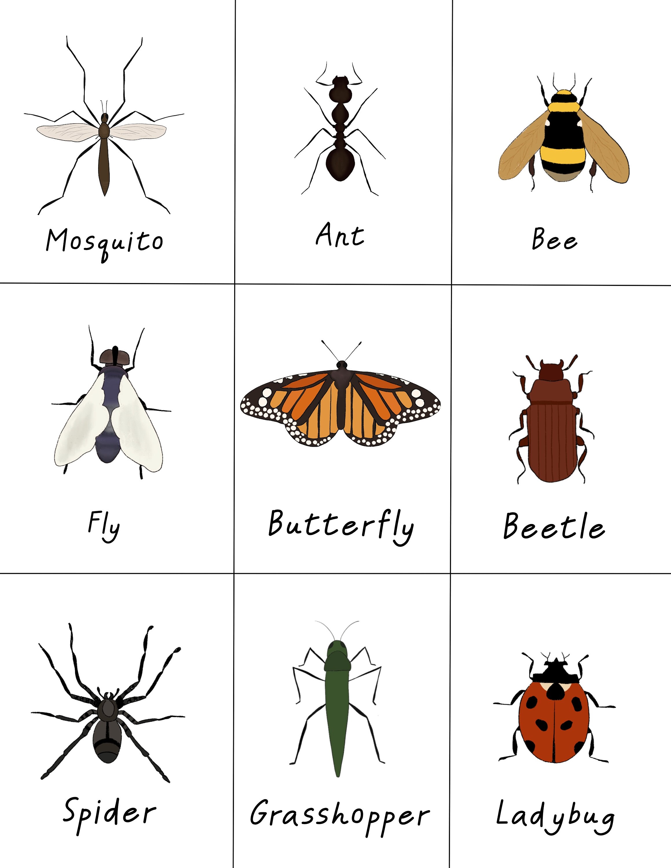 Homeschool Printables | Homeschool Curriculum | Preschool Worksheets ...