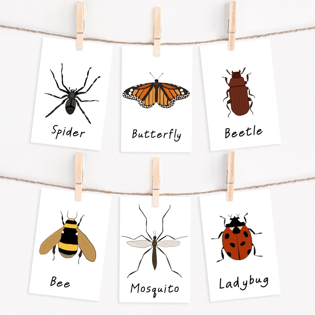 Homeschool Printables | Homeschool Curriculum | Preschool Worksheets ...