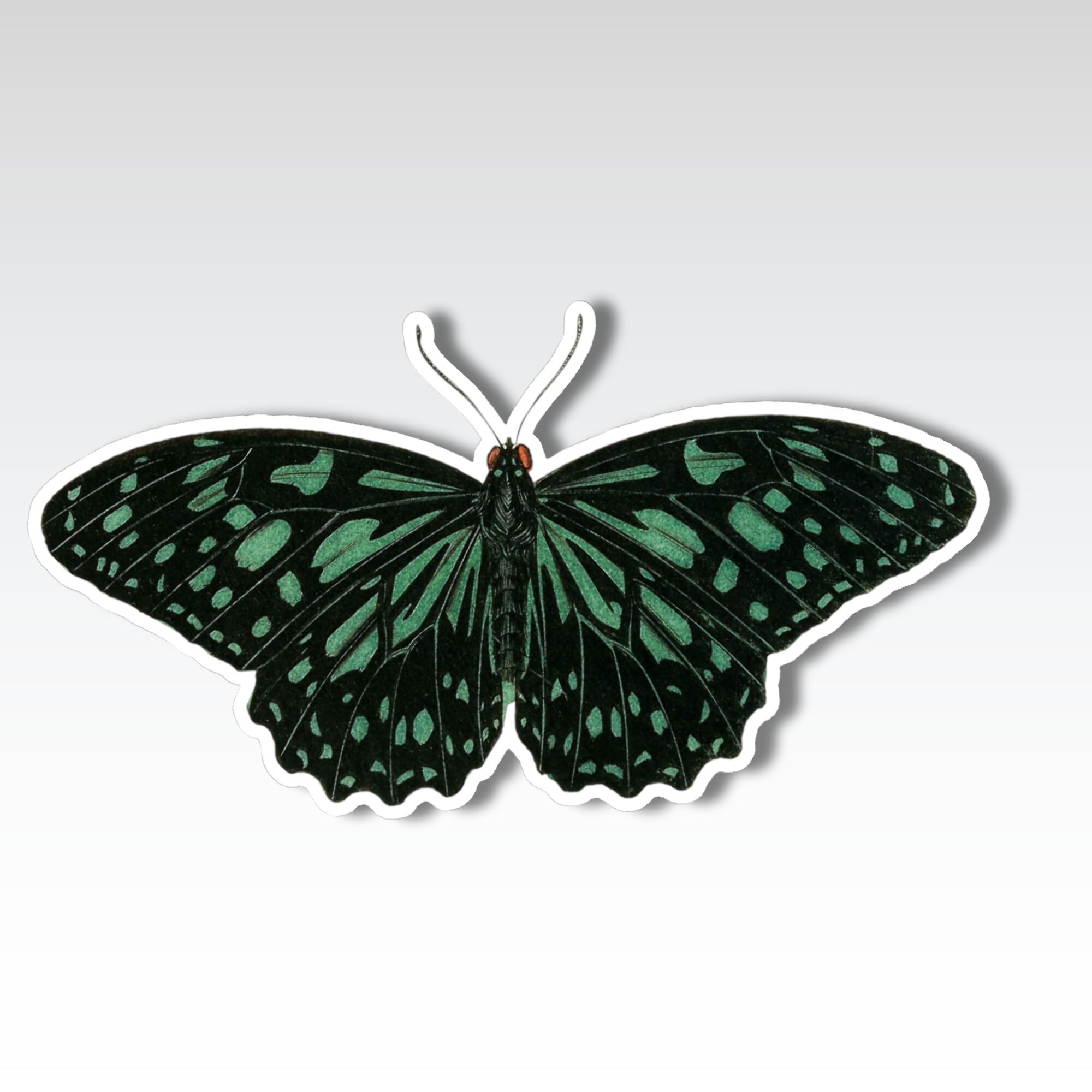 Butterfly Vinyl Stickers Sheet Group Three, Laptop Stickers, Notebook ...