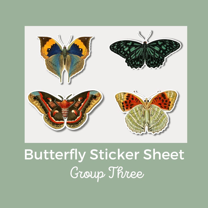 Butterfly Vinyl Stickers Sheet Group Three, Laptop Stickers, Notebook ...