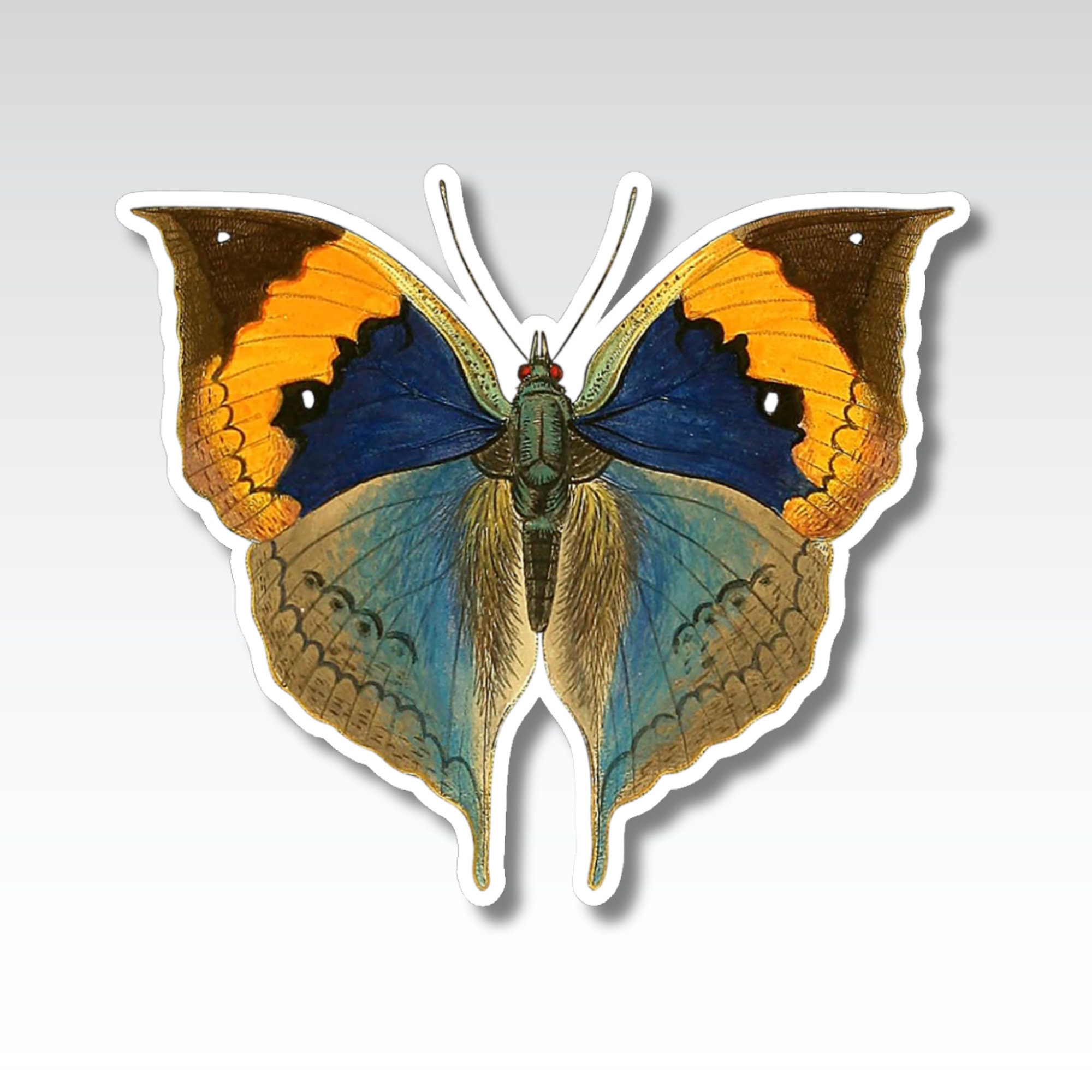 Butterfly Vinyl Stickers Sheet Group Three, Laptop Stickers, Notebook ...