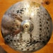 Zildjian Symbols 20in Rock Ride and 14in Hihat Bottom ZXT in - Etsy