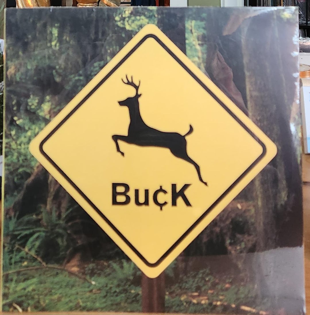 Buck/self Titled Lp/sympathy for the Record Industry/sftri 553 L/c1998 ...