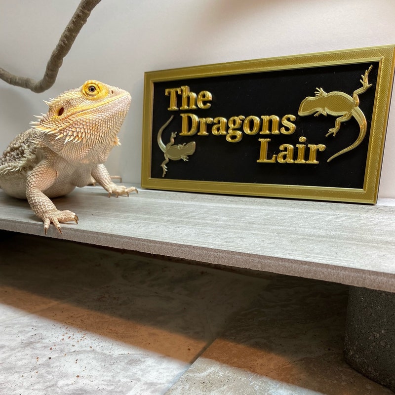 Reptile Enclosure - Etsy