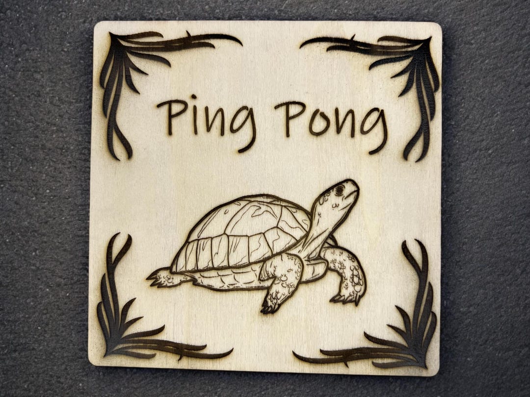 Custom Tortoise Name Tag/turtle Terrarium Tag/reptile Name Tag - Etsy