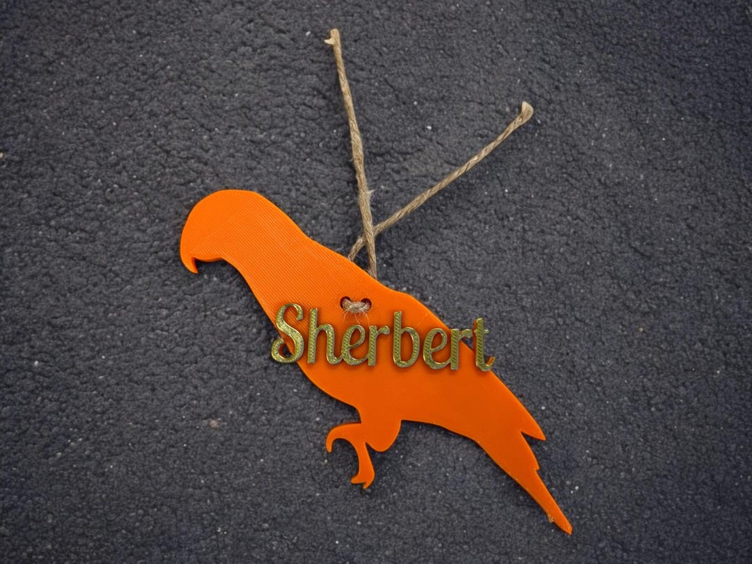 Custom Conure/eclectus Parrot Cage Name Tag/personalized Bird Cage Name ...
