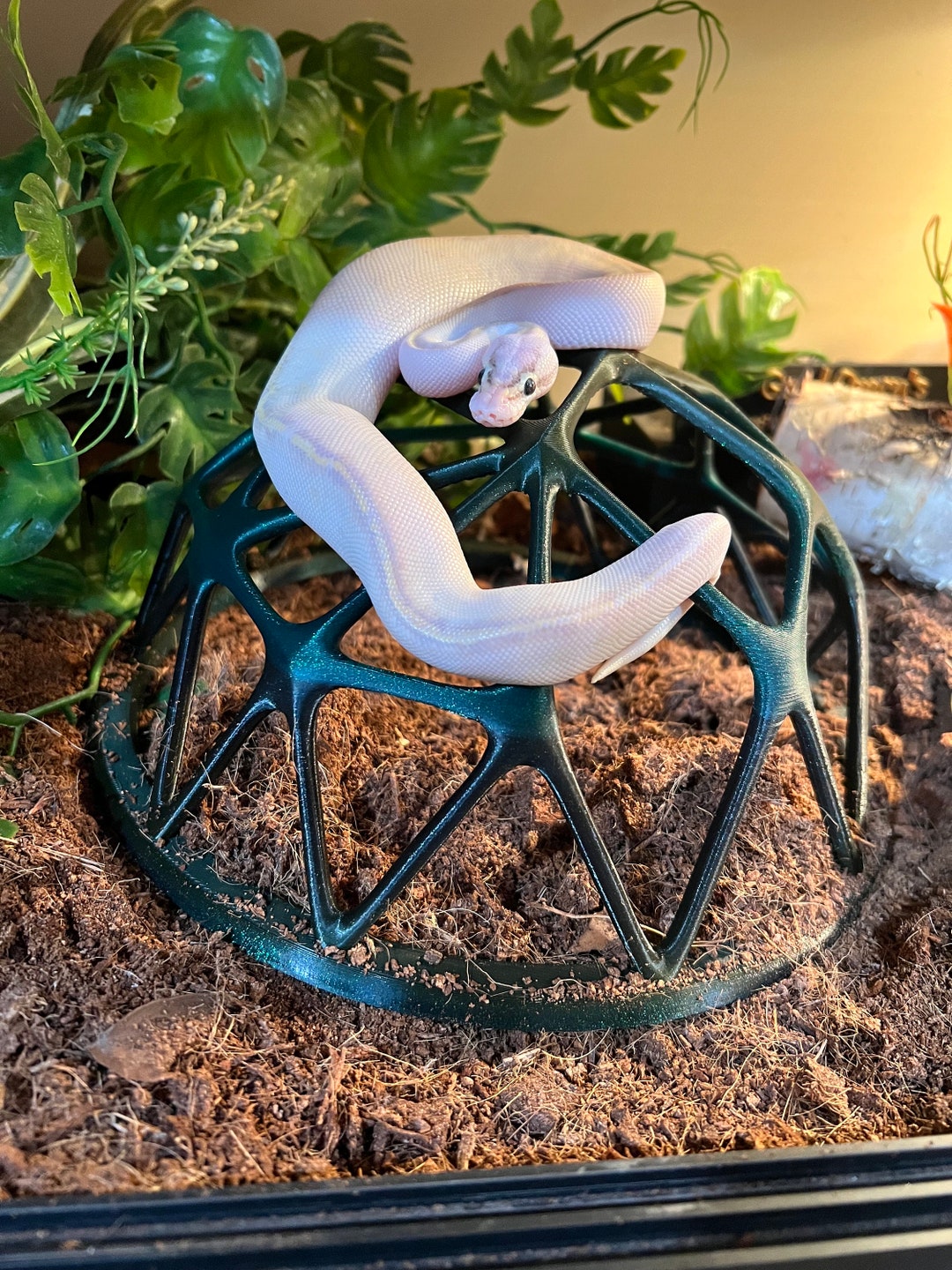 Reptile Jungle Gym/snake Climber/chameleon Climber/reptile Enrichment ...