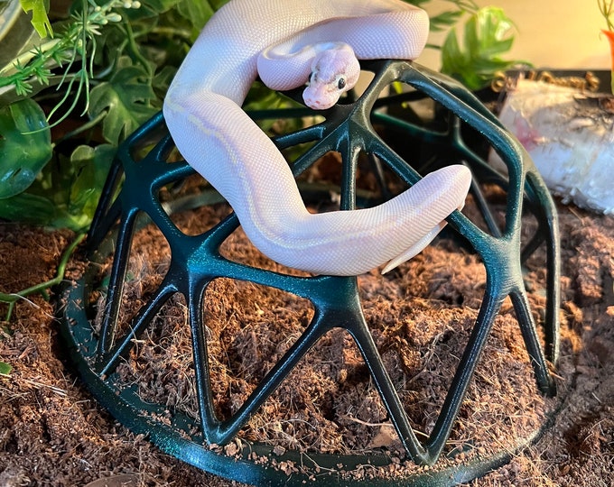 Reptile Jungle Gym/snake Climber/chameleon Climber/reptile Enrichment ...