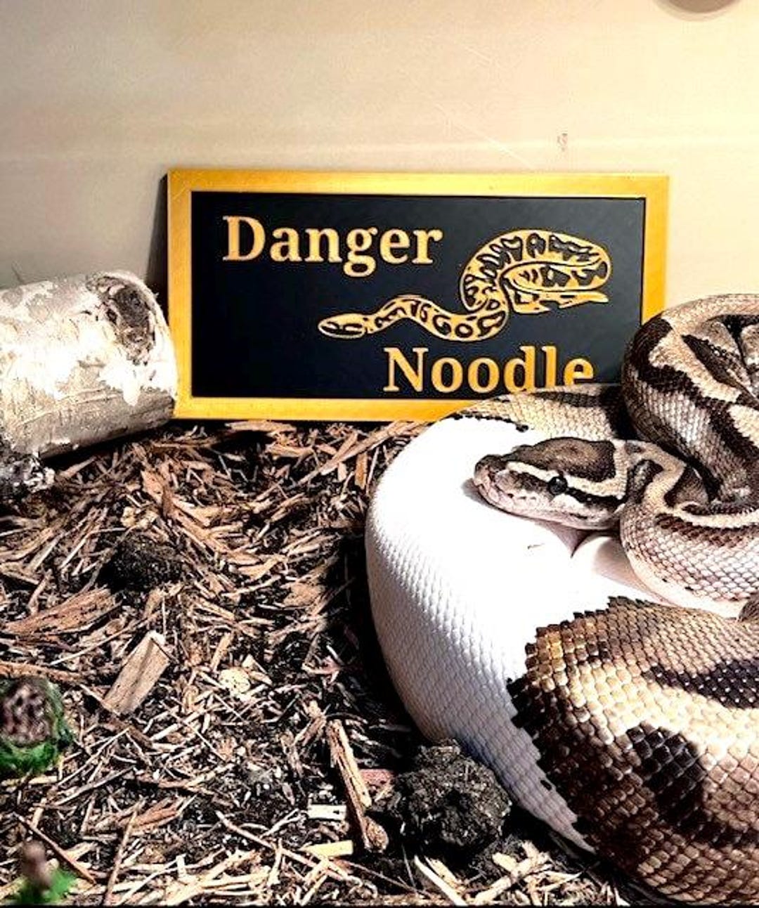Custom Reptile Enclosure Sign/danger Noodle/snake Sign/boa/ball Python ...