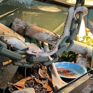 Reptile Climbing Chain/reptile Tank Enrichment/snake Climber/lizard ...