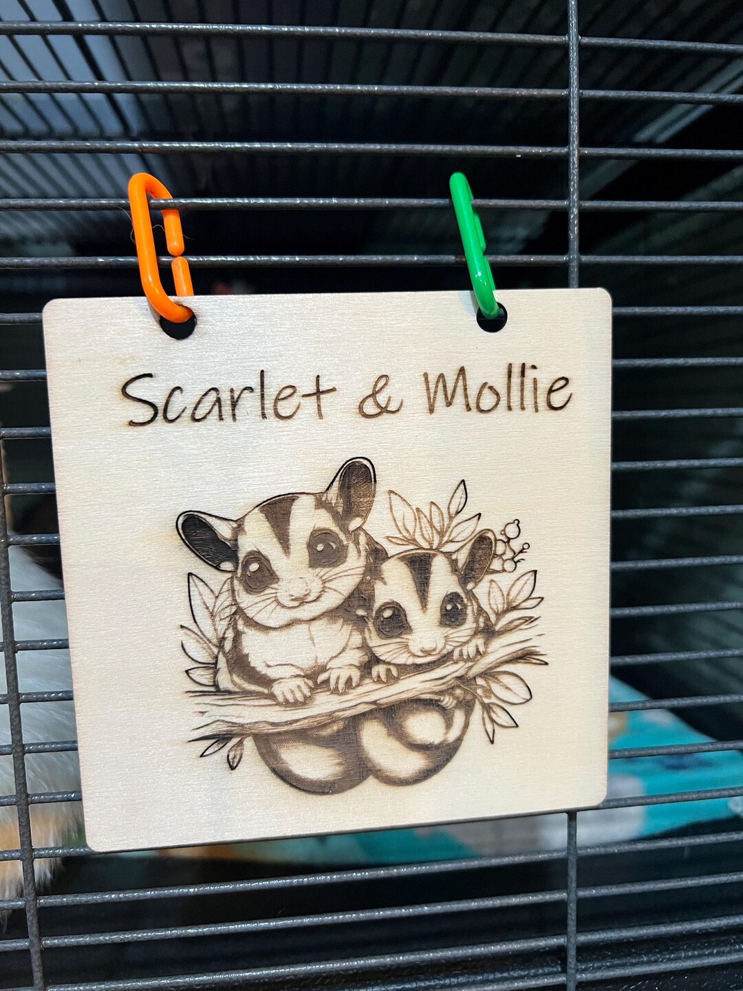 Custom Colony Sugar Glider Name Tag/suggie Cage Tag/personalized Sugar ...