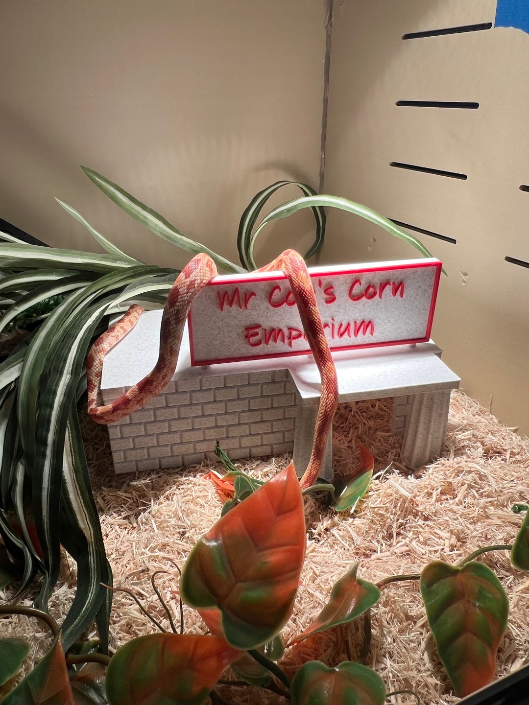 Custom Reptile Hide/snake Hide/ Gecko Hide/customizable - Etsy