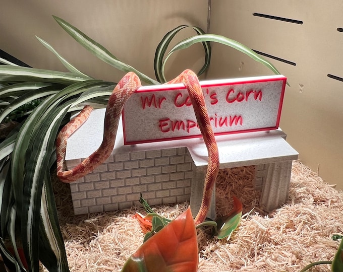 Custom Reptile Hide/snake Hide/ Gecko Hide/customizable - Etsy