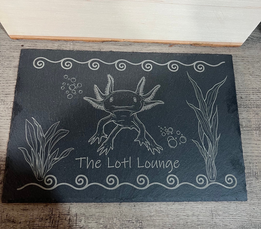Custom Axolotl Slate/axolotl Hide/axolotl Tank Decor/aquarium Tank ...