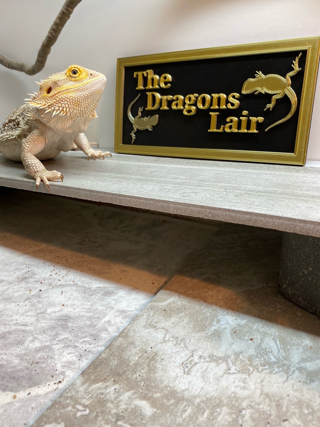 Custom Reptile Enclosure Sign/bearded Dragon Sign/the Dragons Lair - Etsy