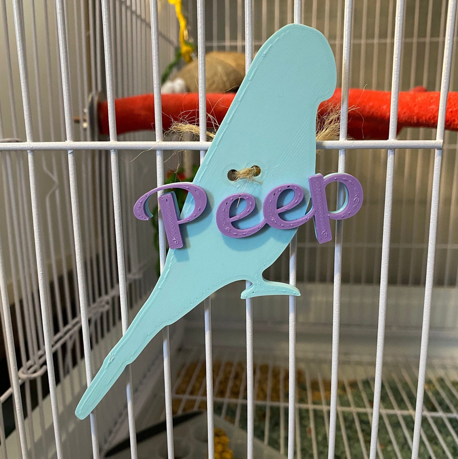 Custom Parakeet Cage Name Plate/custom Name Tag/personalized - Etsy