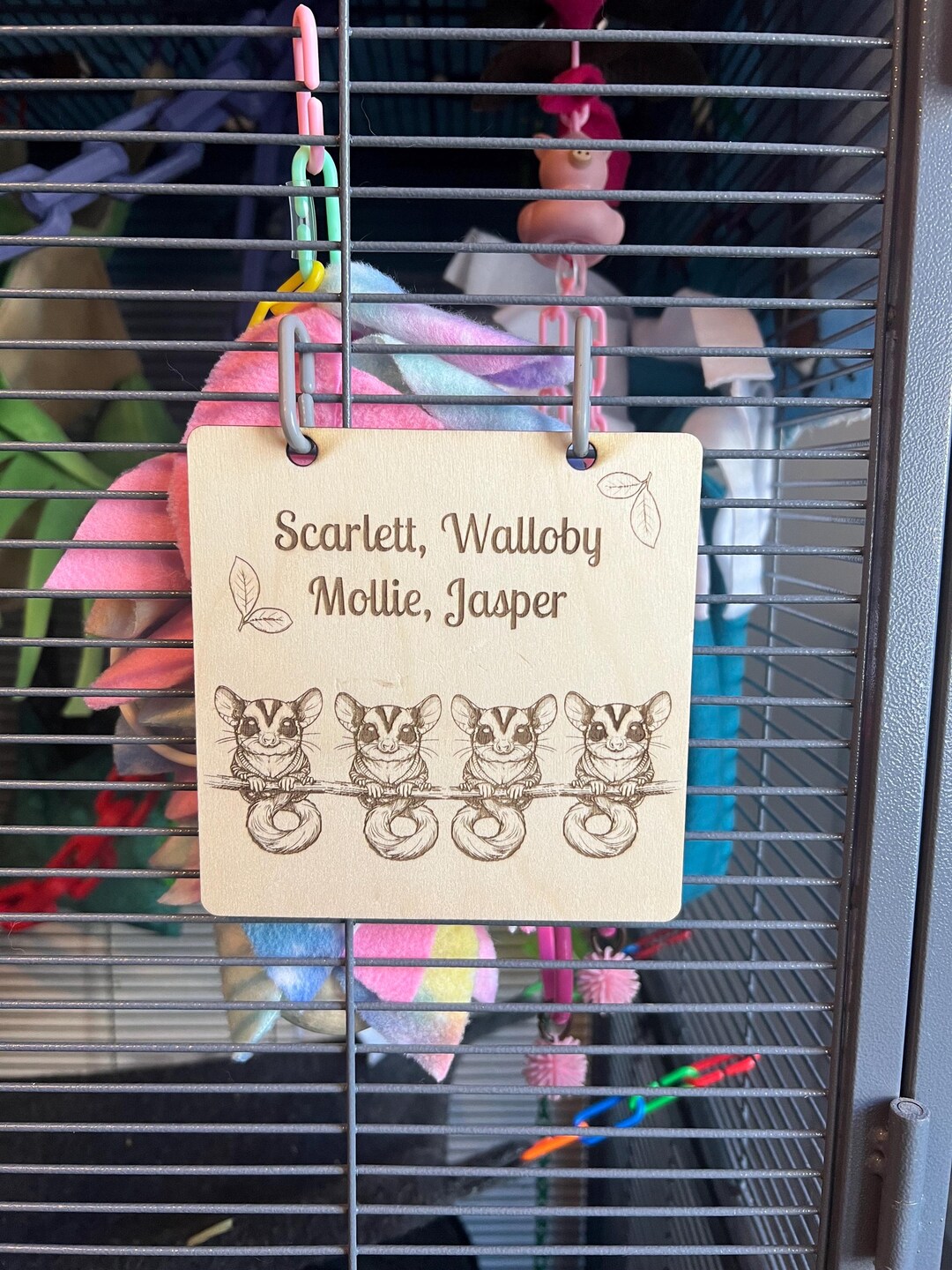 Custom Colony Sugar Glider Name Tag/sugar Glider Cage Tag/personalized ...