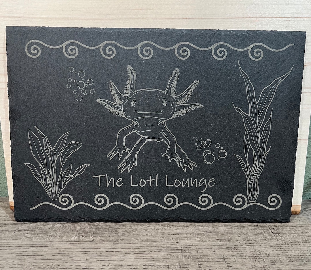 Custom Axolotl Slate/axolotl Hide/axolotl Tank Decor/aquarium Tank ...