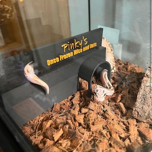 Custom Reptile Hide/snake Hide/ Gecko Hide/customizable - Etsy