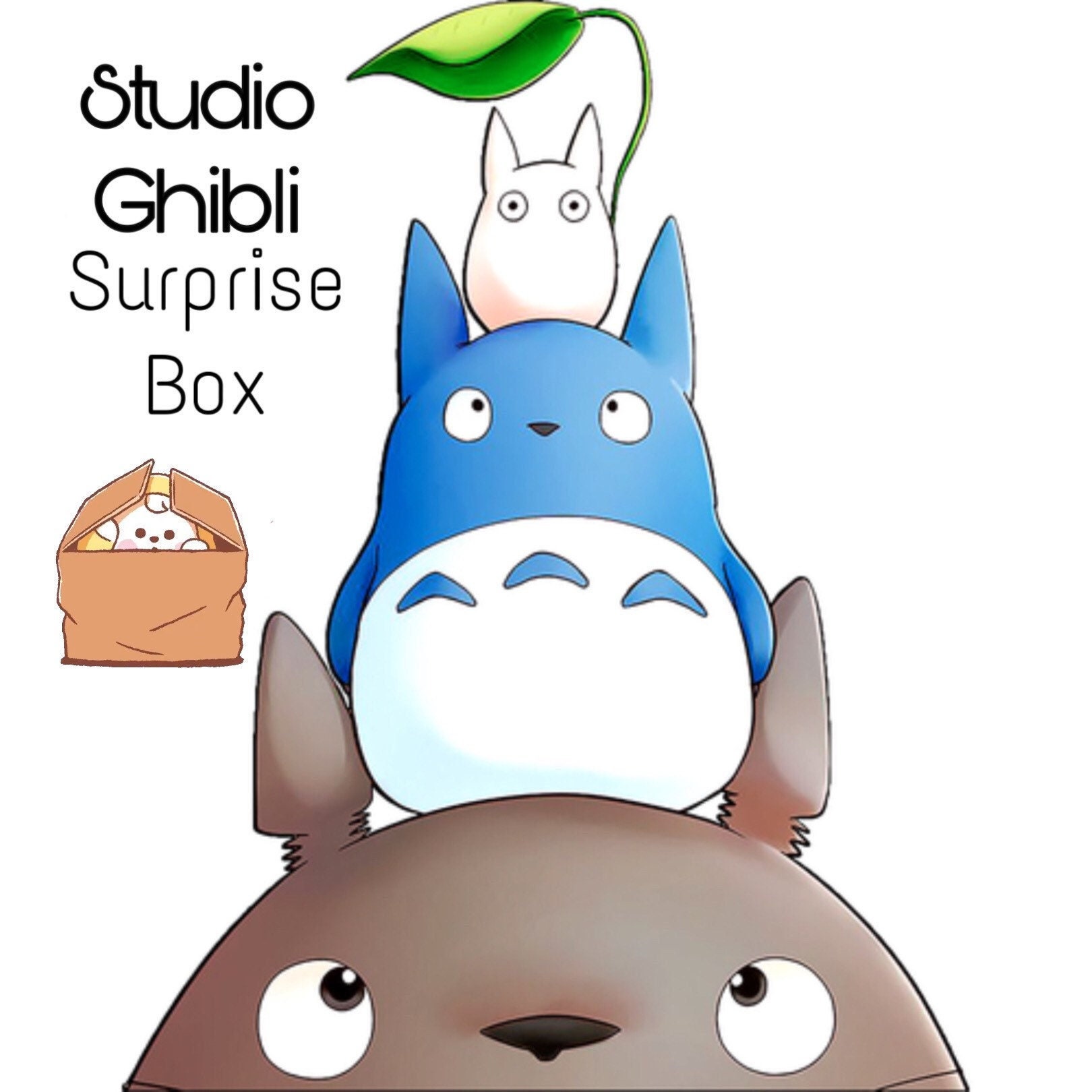 Studio Ghibli Surprise Box Anime Mystery Box Totoro Gift - Etsy UK