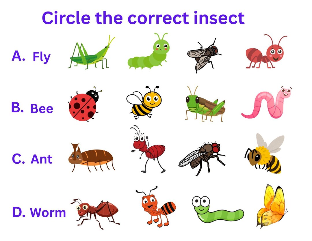Circle the Correct Insect PDF Worksheet Instant Download - Etsy